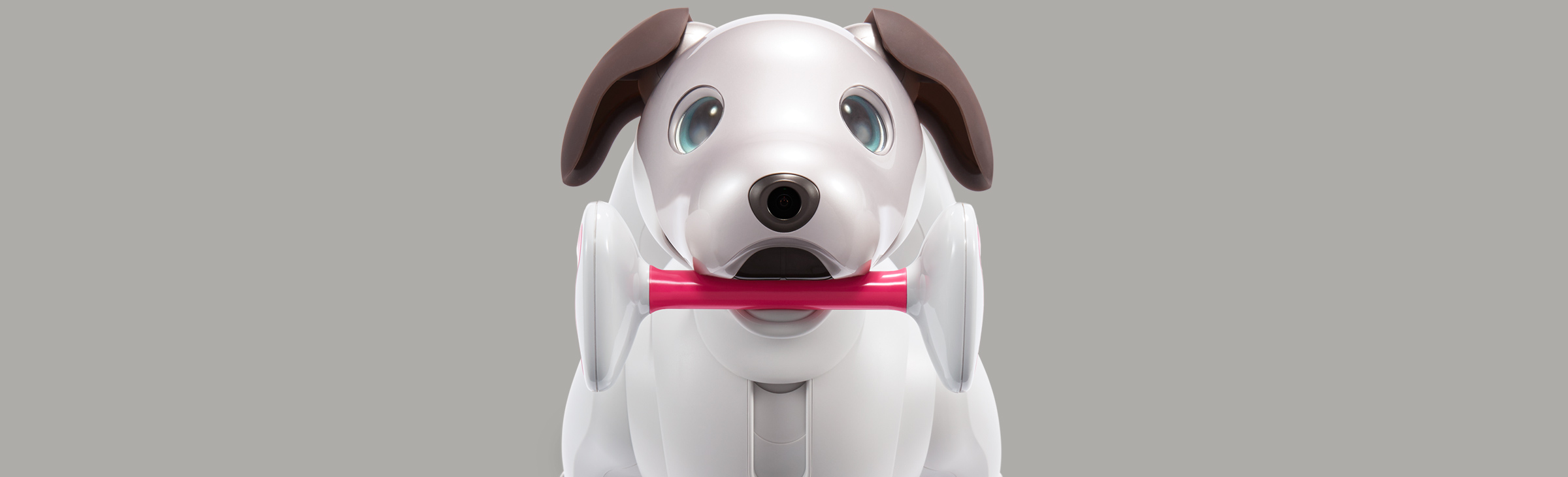 aibo - Communication